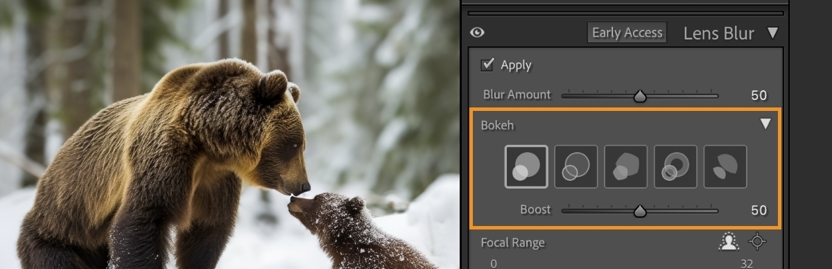 Lens Blur in Lightroom Classic